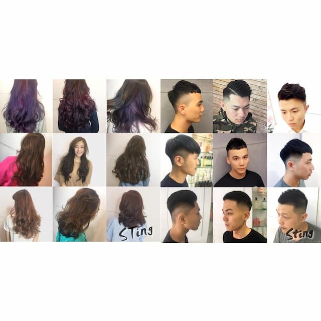 Sting stylist x AT38 | StyleMap美配