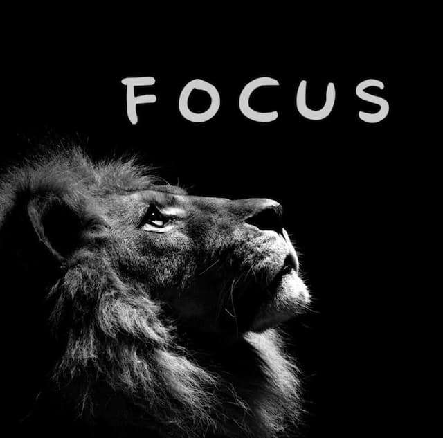 Focus Hair Salon | StyleMap美配