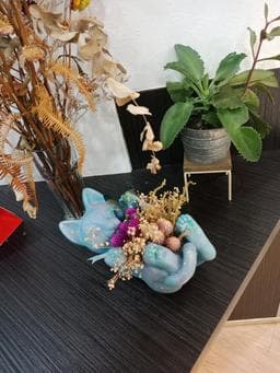 KIPA Hair | StyleMap美配