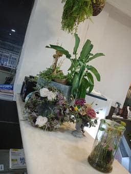 KIPA Hair | StyleMap美配