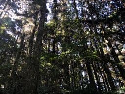 Peter Jian - StyleMap美配 | StyleMap美配